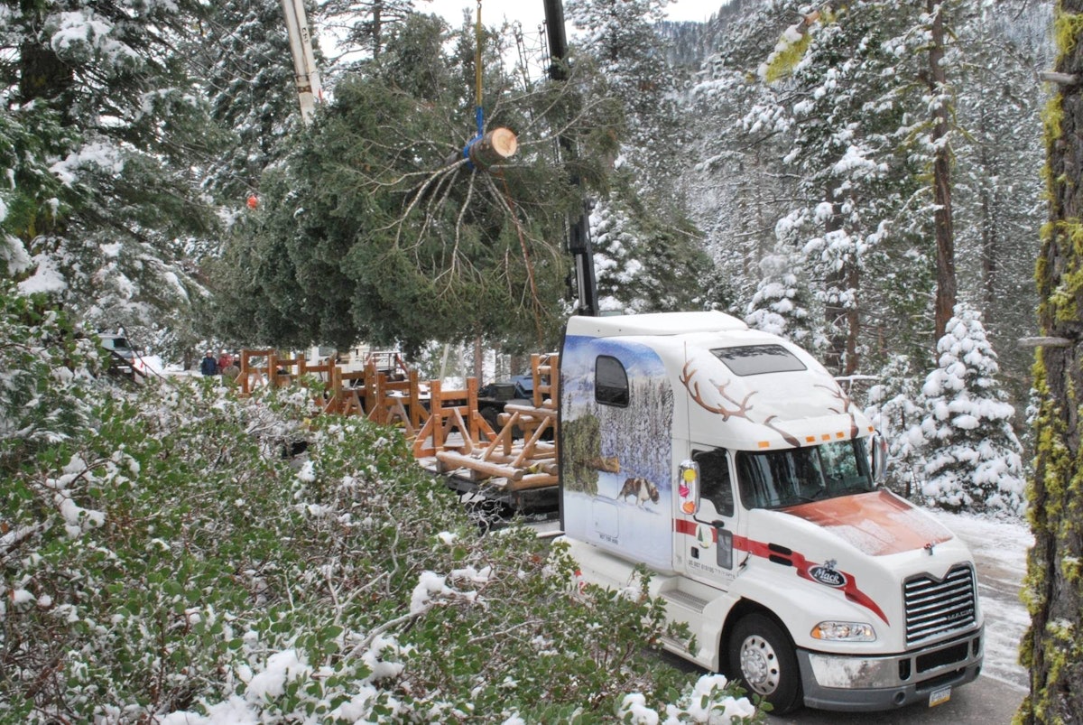 Mack brings national Christmas tree to D.C. | Commercial Carrier Journal